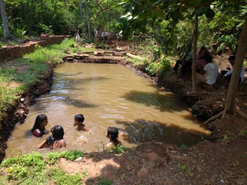 Karnataka Man Built a 21-Acre Food Forest in 23 years