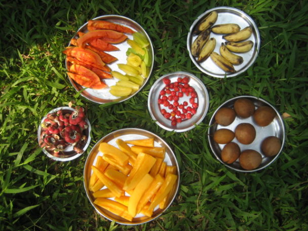 Karnataka Man Built a 21-Acre Food Forest in 23 years