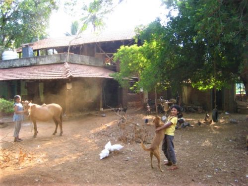 Karnataka Man Built a 21-Acre Food Forest in 23 years