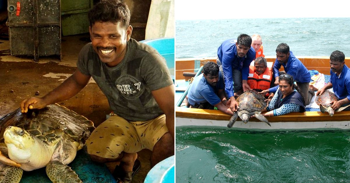 This Chennai fisherman has rescued turtles from trawlers for 17 years!