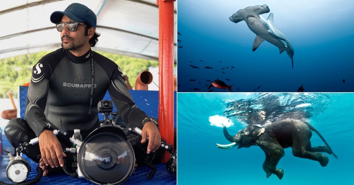 8,000 Dives & Swimming Jumbo: Meet India's Underwater Photographer