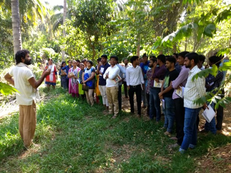 Karnataka Man Built a 21-Acre Food Forest in 23 years
