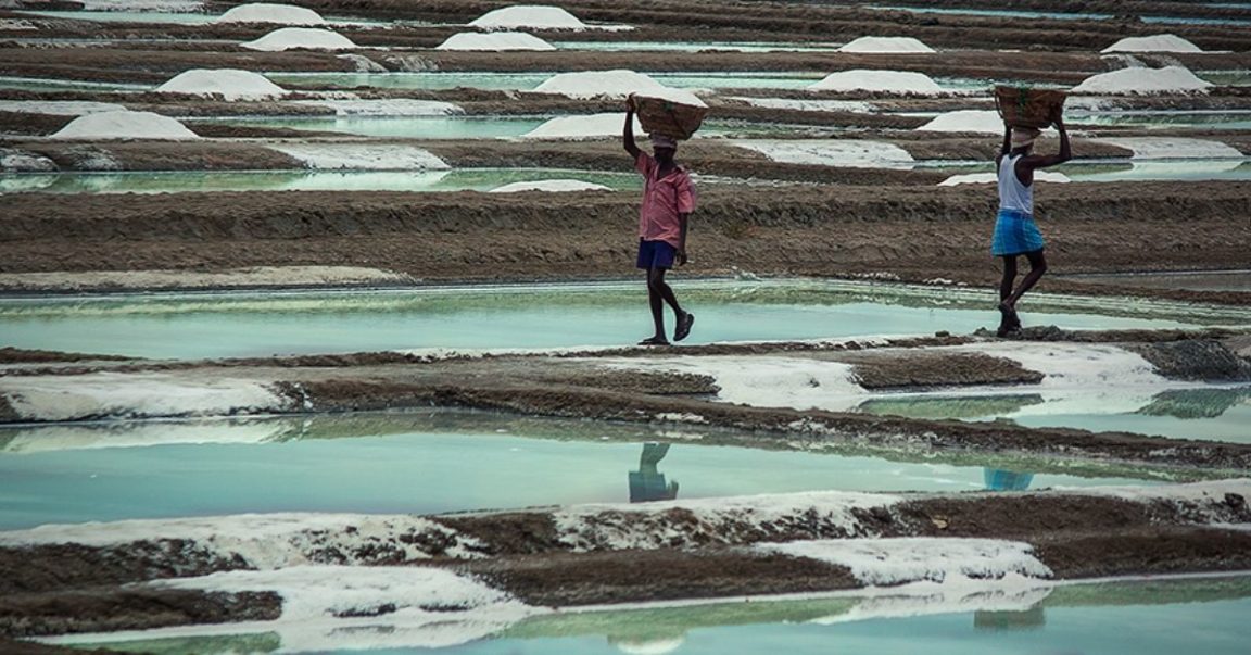 FSSAI Introduces +F for Rice, Wheat, Milk & Oil: Here’s What It Means