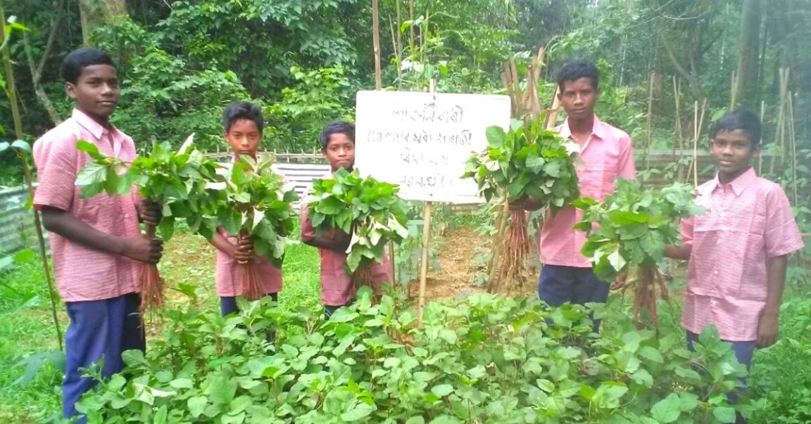 50K+ Assam Kids Grow Organic Veggies In School Backyards