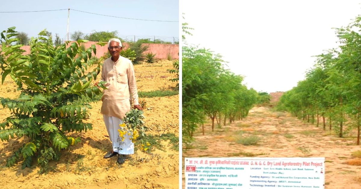 Can a Tree Grow with Just 1 Litre of Water? 68-YO Has Grown 50,000!