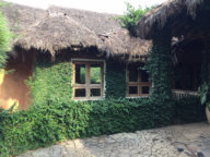 Building Green Houses: Architect Brings Back Mud Homes In India!