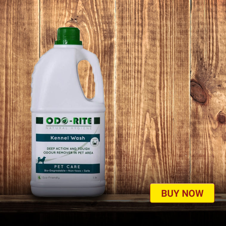 How You Can Make Chemical-Free Bio-Enzyme Cleaners From Fruit Peels