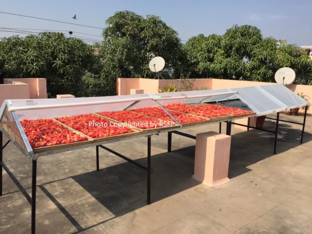 22-YO Invents Solar Dryer To Help Boost Farmer Incomes!