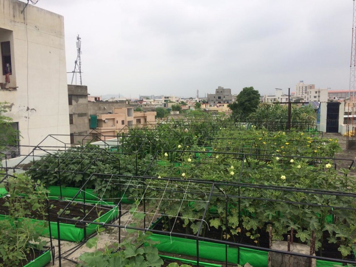 This Startup Has Helped Over 400 Homes Grow Food on Their Terrace!