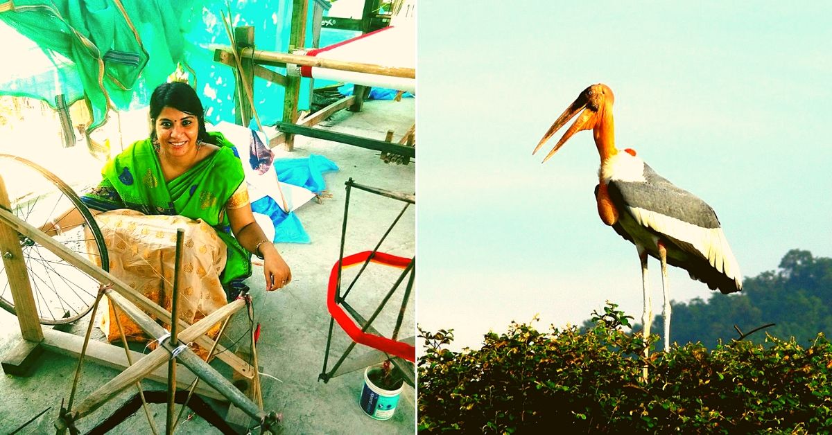 One Woman With a Plan Saved Assam's 'Hargila' Storks From Extinction!