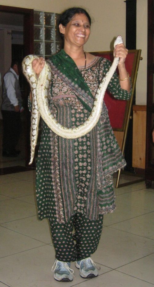 60-YO Kerala Woman Shatters Age Stereotypes, Rescues 1000 Snakes!