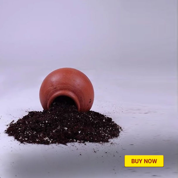 9 Easy Steps To Pot a Plant Perfectly & Grow a Home Garden!