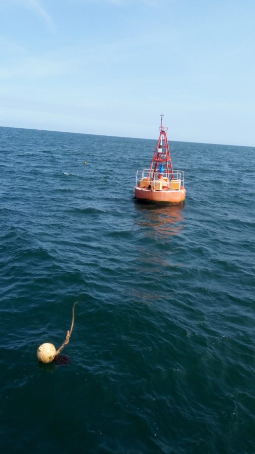 Meet the Scientists Using the Power of Oceans to Generate Electricity!