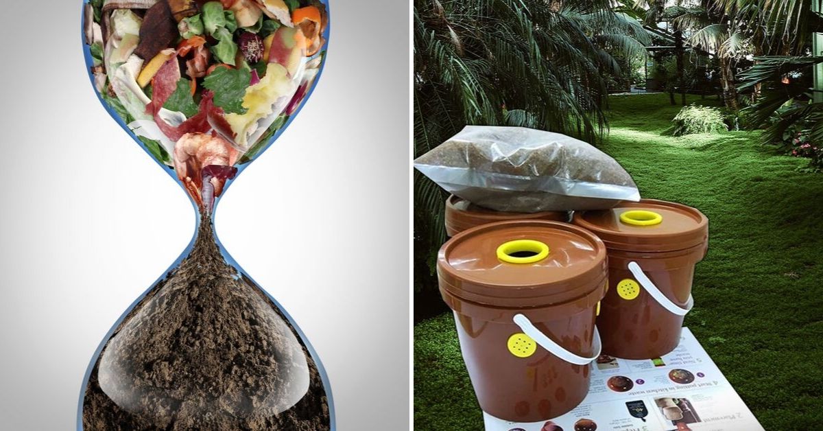 Transform Your Kitchen Waste into a Rich Compost for Just Rs 600!