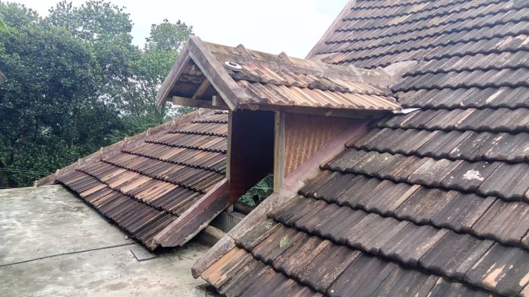 This Engineer's Fully Recyclable Mud & Bamboo Home Is Green-Tastic!