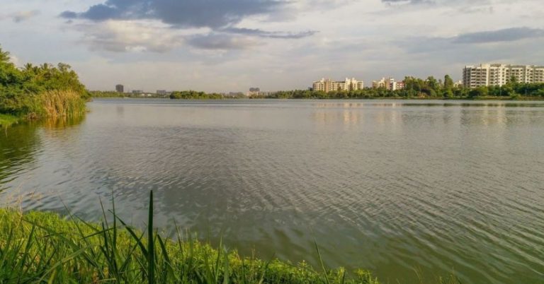 5 Innovations By Indians That Curb Water Pollution!