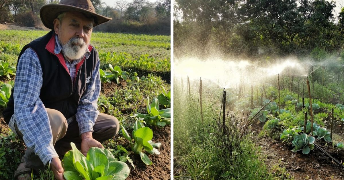 Maharashtra Farmer Grows 180+ Varieties of Food Through Multicropping