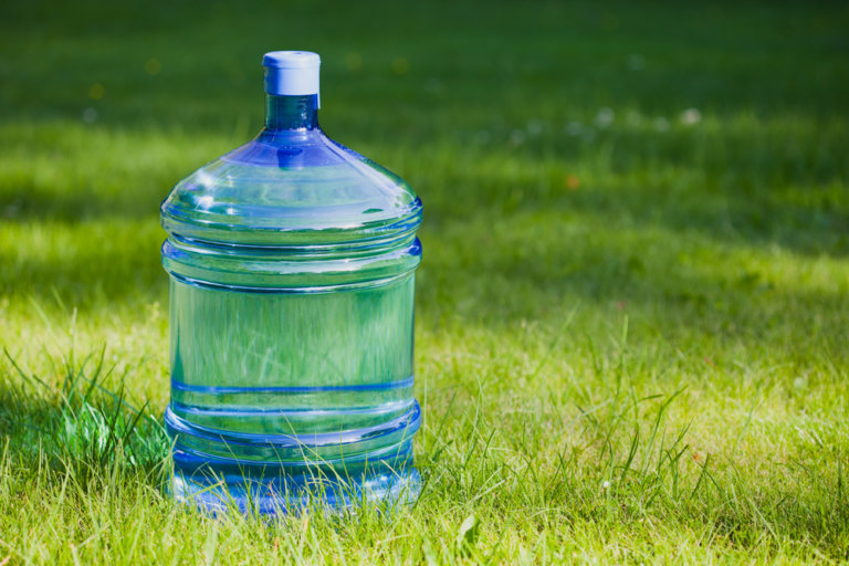 How to Grow Onions at Home in Cheap & Easy Ways