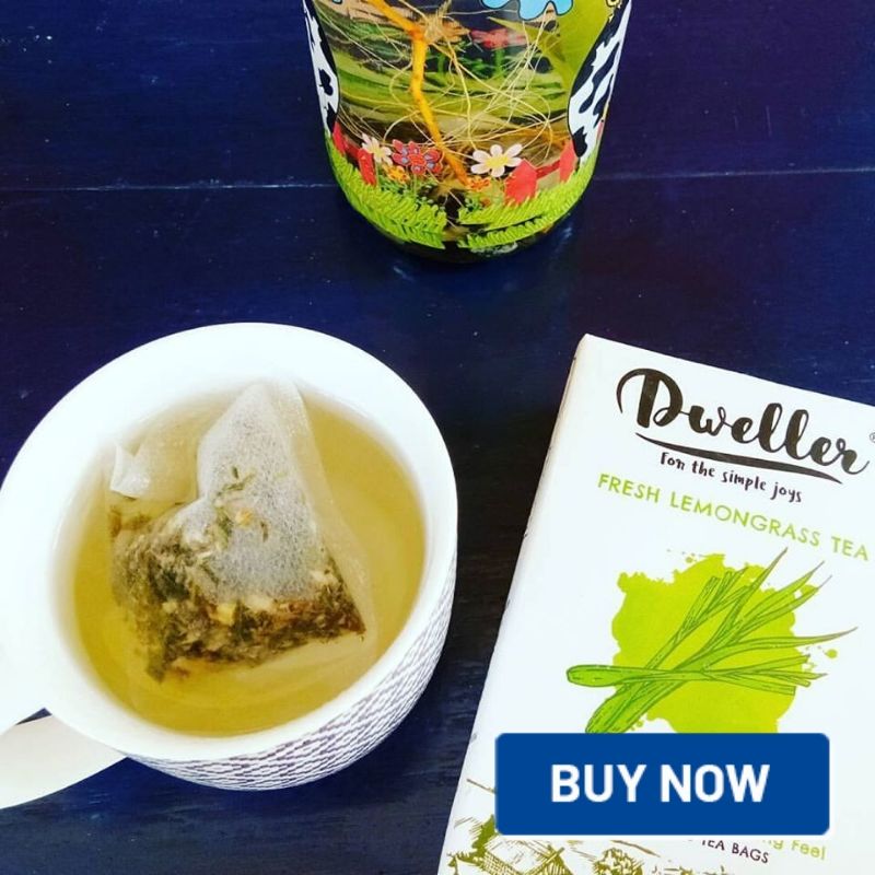 10 Natural & Fresh Green Tea Flavours That Are Perfect for Winter