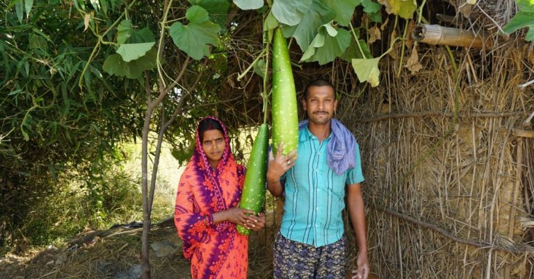 A Bihar Village Ushers in an Organic Farming Revolution in Just 4 Yrs