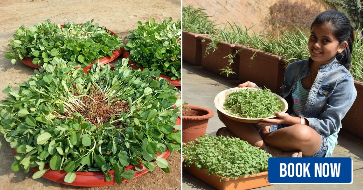 Mumbai, Learn to Grow Microgreens & Eat Healthy for Life!