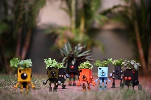 Indore Man Makes 100 Artworks From 3K Kgs of Scrap, Wins Global Fame