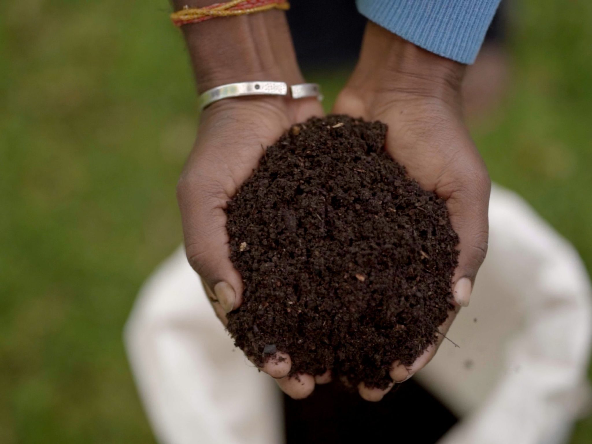 Experts Answer: How to Compost and Utilise Dry Leaves in a Small Space