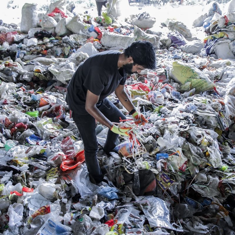 TBI Green Influencers: Aakash Ranison's 'One Step' to Sustainable Living