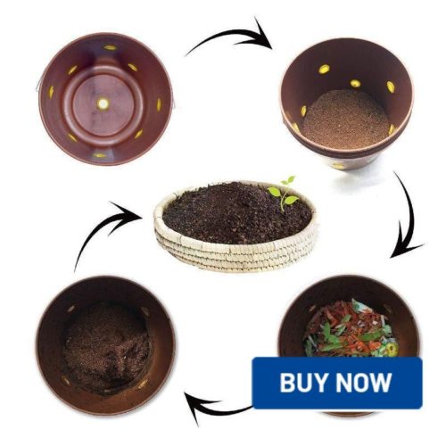 Experts Answer: How to Get Terrace Gardens to Yield More Crops?