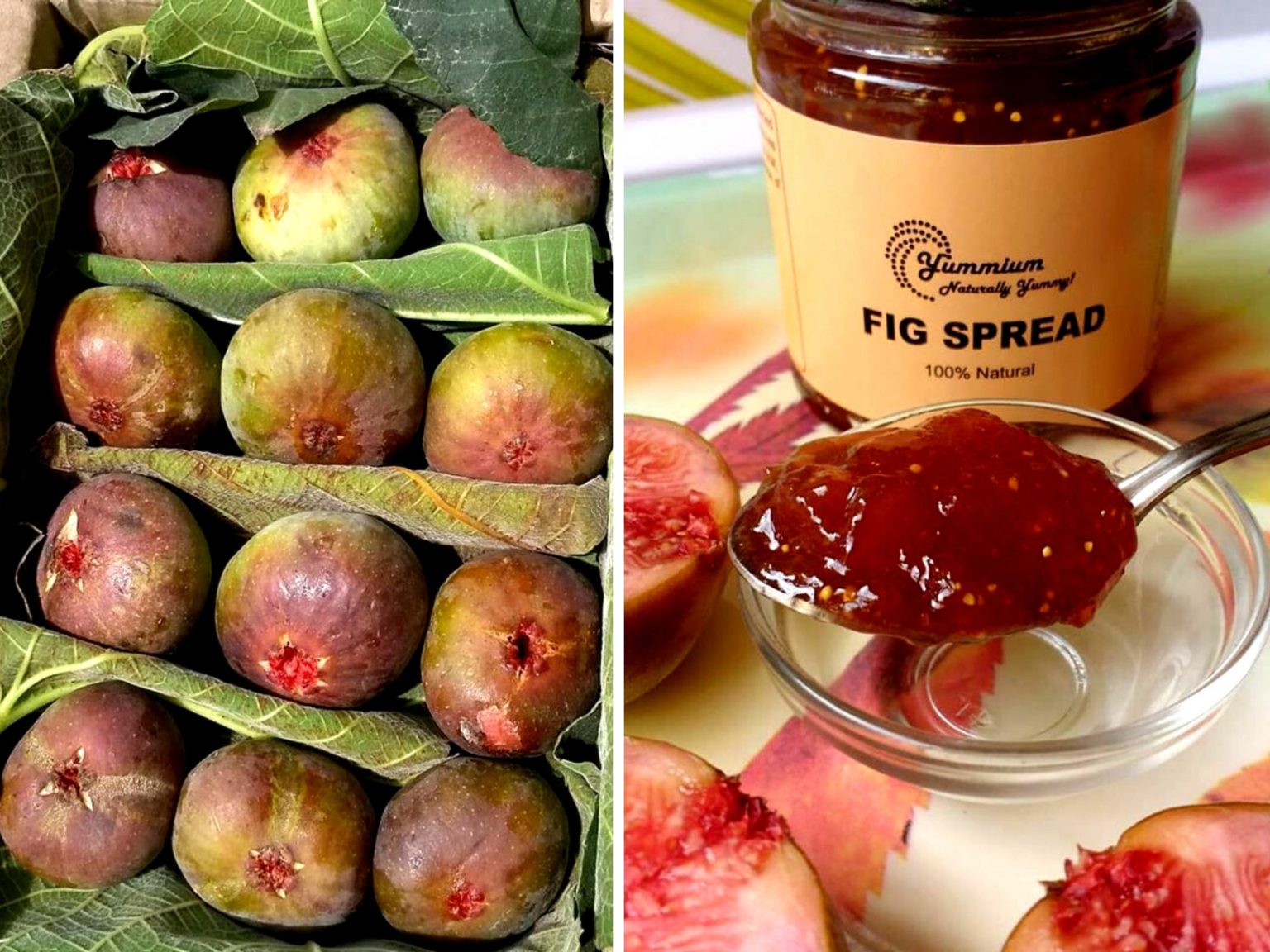 Child's allergy Inspires Mom to Create her Own Jam; 10K Jars Sold to Date