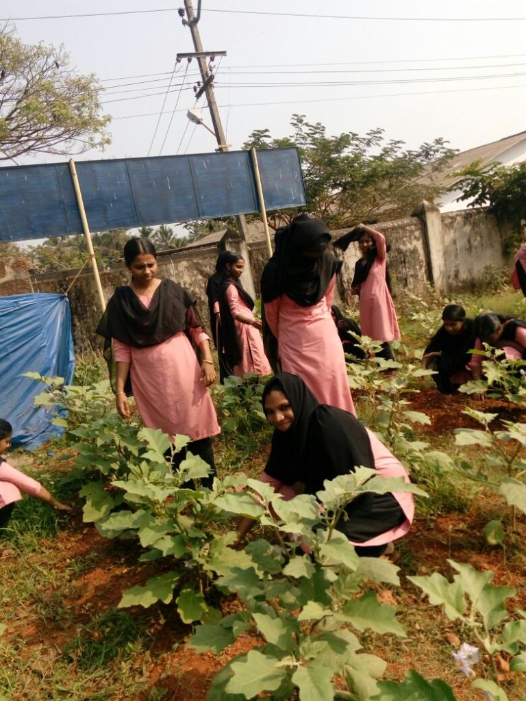 Kerala Man's 10 Acre Farm Gobbles Up the Waste of A Society!