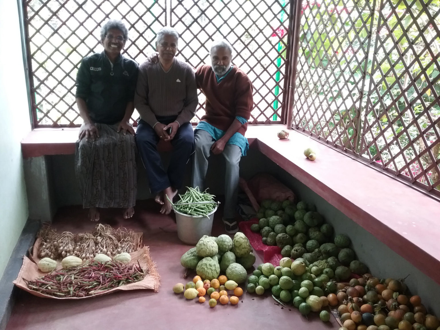 This Kerala Engineer Grows 26 Types of Veggies In Just 60 Sq Ft Space!