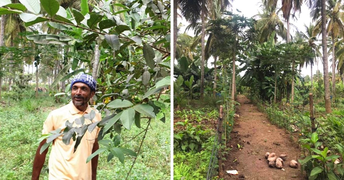 300 Plant Varieties in 1 Acre Increases Farmer's Profits to 10 Lakhs