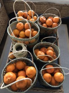 10 GI Tagged Foods from the Northeast We Need in Our Kitchens