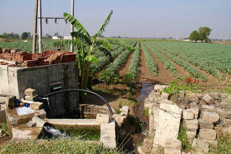 Here's How Experts Believe We Can Make India's Farmers Worry-Free
