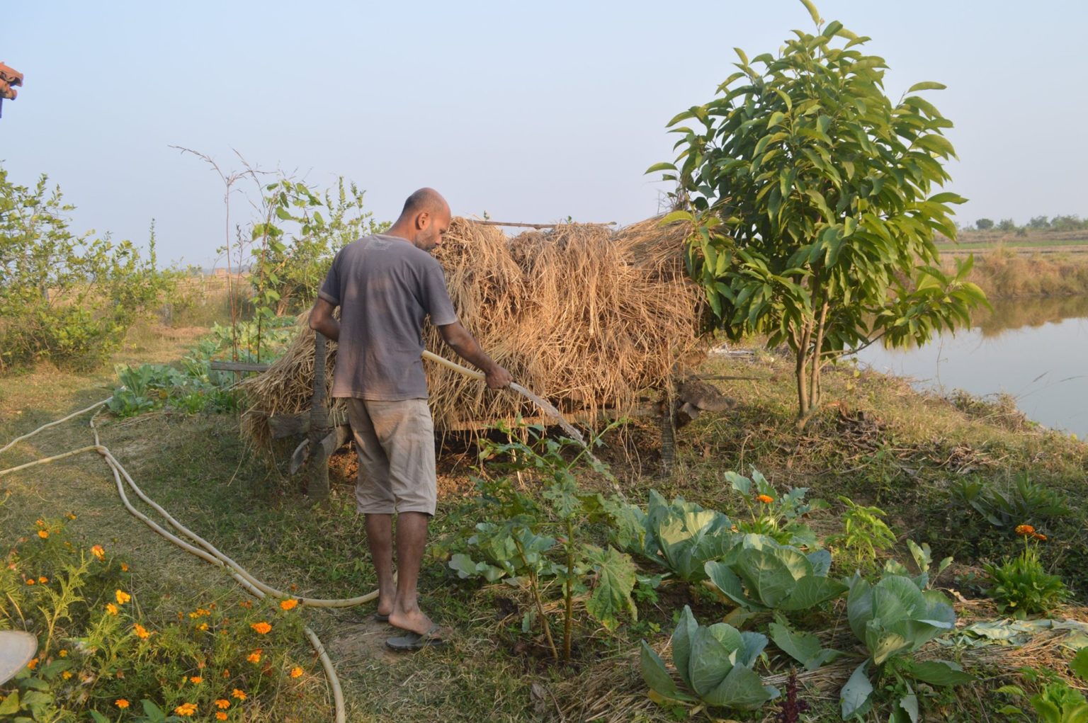 Couple Returns From the US to Become Farmers, Grows What They Eat