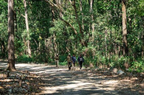 Forest Guards Are India's 'Invisible Heroes' And Deserve Recognition