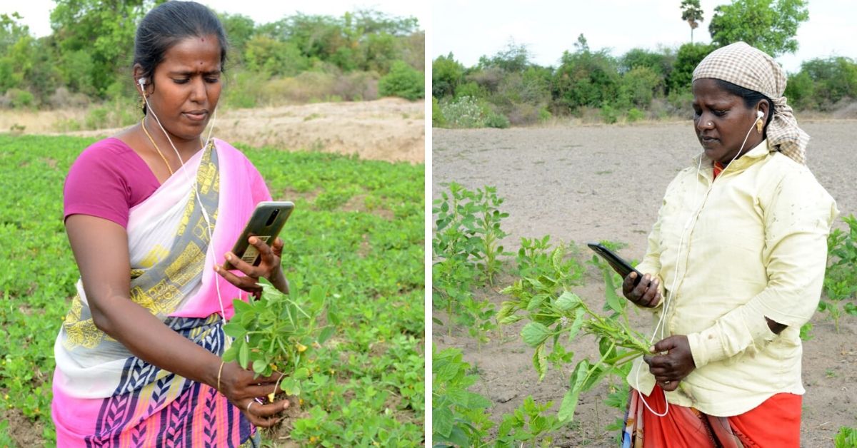 e-Plant Doctors Can Solve Farmers’ Crop Woes in Minutes. Here’s How.