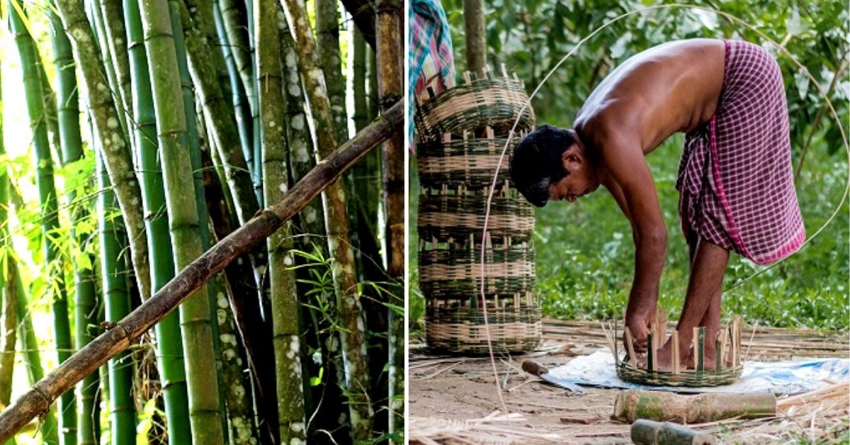 5 Ways Northeast India Uses Bamboo That We Need to Adopt ASAP!