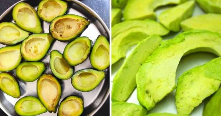 How to Grow Avocados In Your Balcony? Amritsar Farmer Shares Process