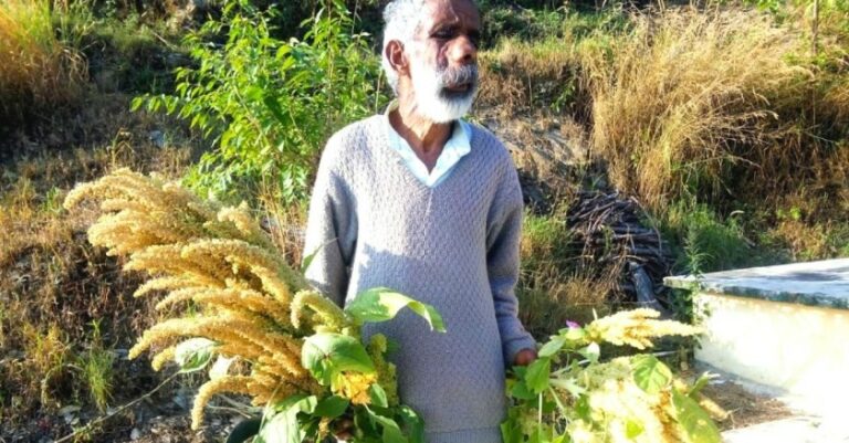 Beej Bachao Andolan: How Farmers in Uttarakhand Are Reviving Seeds