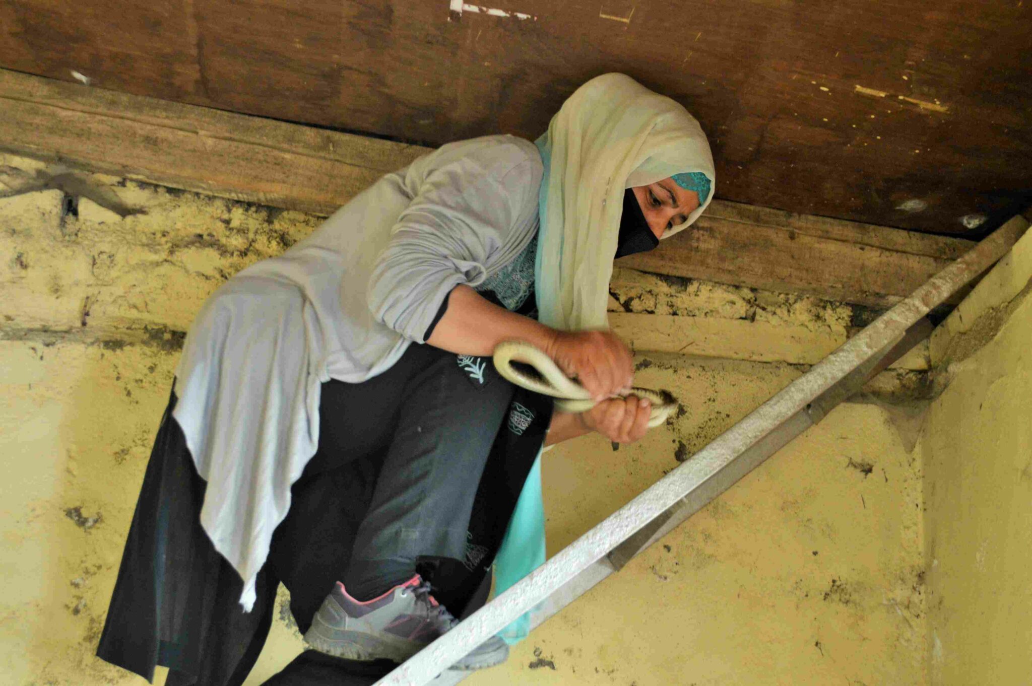 Why People of Kashmir Call This Former Maths Teacher to Rescue Bears ...