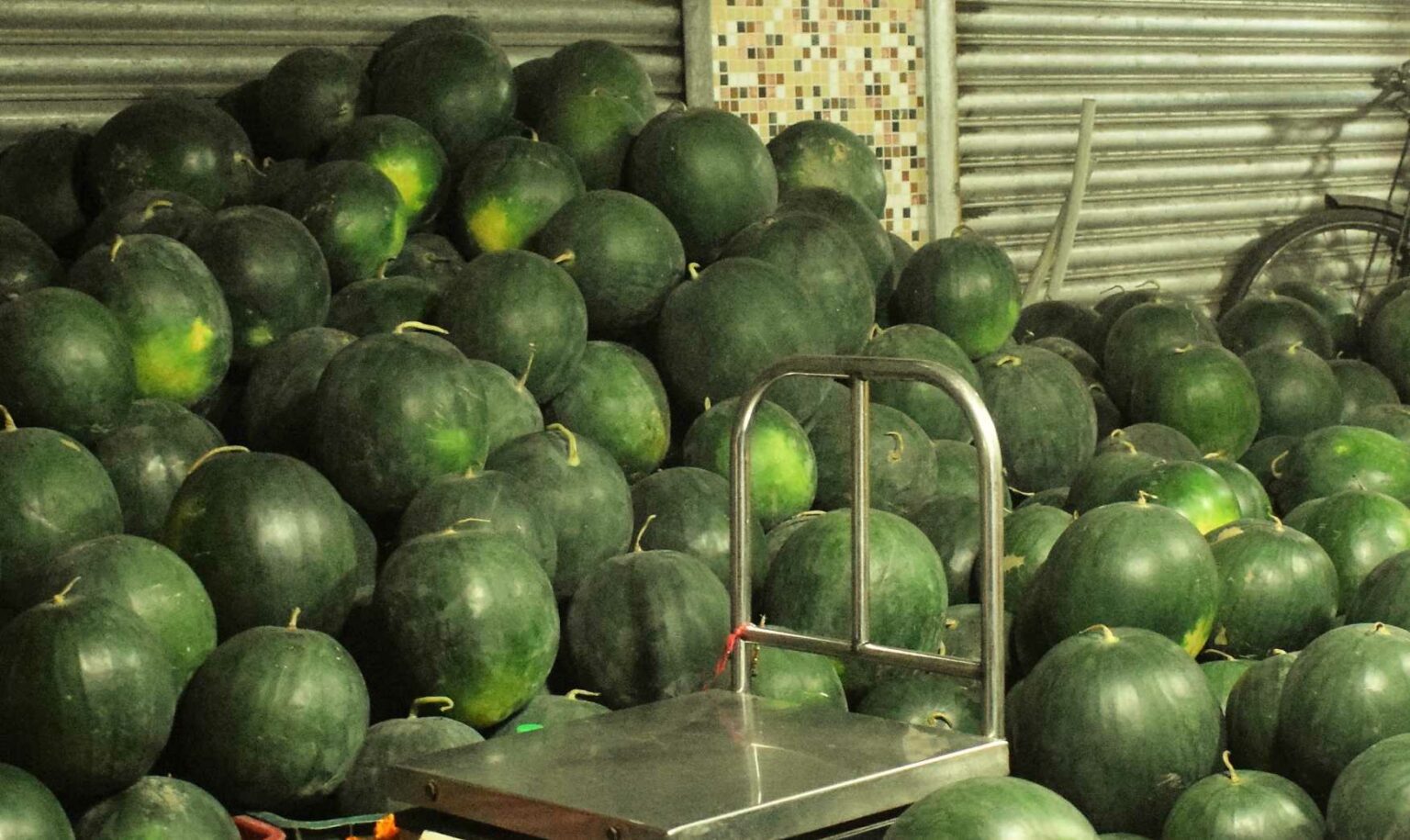 WB Villages Save Up To 60% Water By Growing Watermelons Using This ...