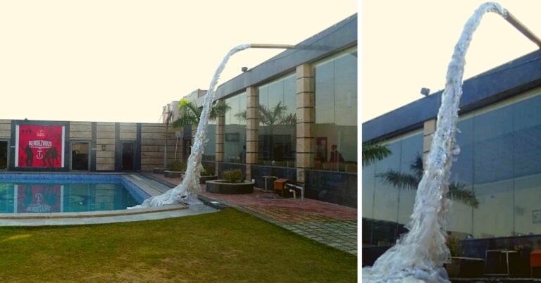 Delhi Artist Diverts 250 Kg of Plastic From Landfills. Turns Waste into Art