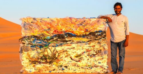 Delhi Artist Diverts 250 Kg of Plastic From Landfills. Turns Waste into Art