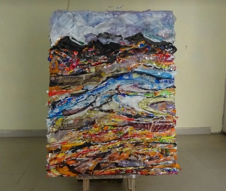 Delhi Artist Diverts 250 Kg of Plastic From Landfills. Turns Waste into Art