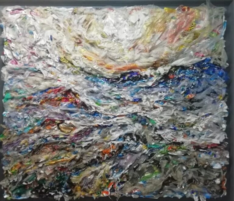 Delhi Artist Diverts 250 Kg of Plastic From Landfills. Turns Waste into Art