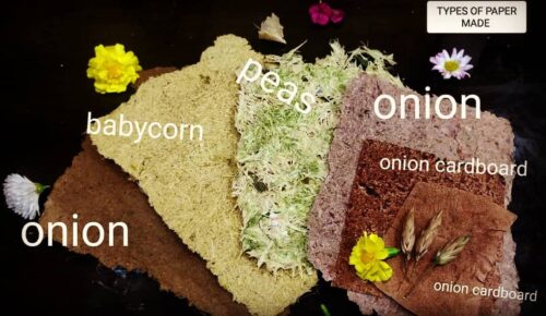 10-Yo Makes Eco-Friendly Paper From Peels of Onion, Garlic & Potatoes ...
