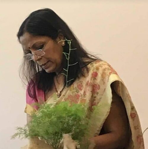 How To Grow Rudraksha Tree At Home: Gardening Enthusiast Shares 4 Easy ...