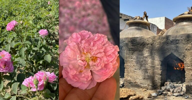 Once Patronised by the Mughals, Delhi’s 205-YO Perfumery Still Smells ...